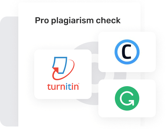 Your Pro Essay | No.1 Custom Essay Writing Service